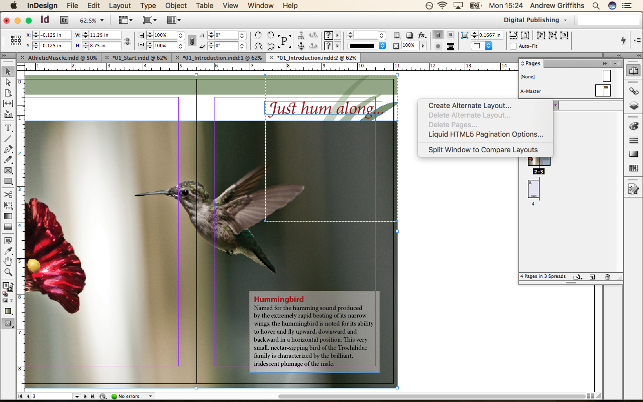 InDesign For Beginners – Small Business Dad